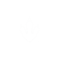 Micropachy-cephalosaurus - Jurassic Apparel