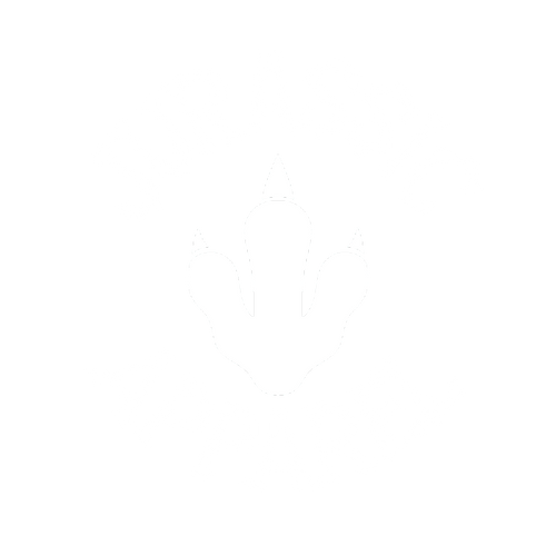 Micropachy-cephalosaurus - Jurassic Apparel