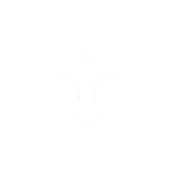Micropachy-cephalosaurus - Jurassic Apparel